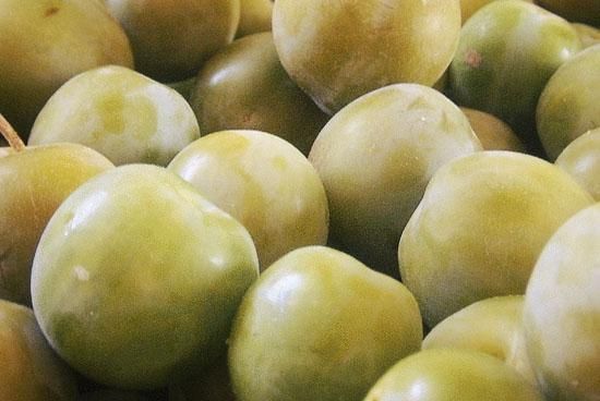 CIRUELO CLAUDIA VERDE Prunus domestica 6/8 C-25 — GUAL | Garden Online