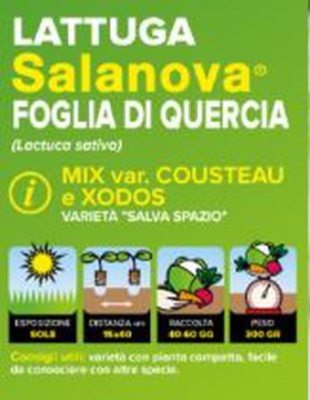 Lechuga Salanova Mix Hojas Roble Cousteau / Xodos 9 Plantas en Pack ...