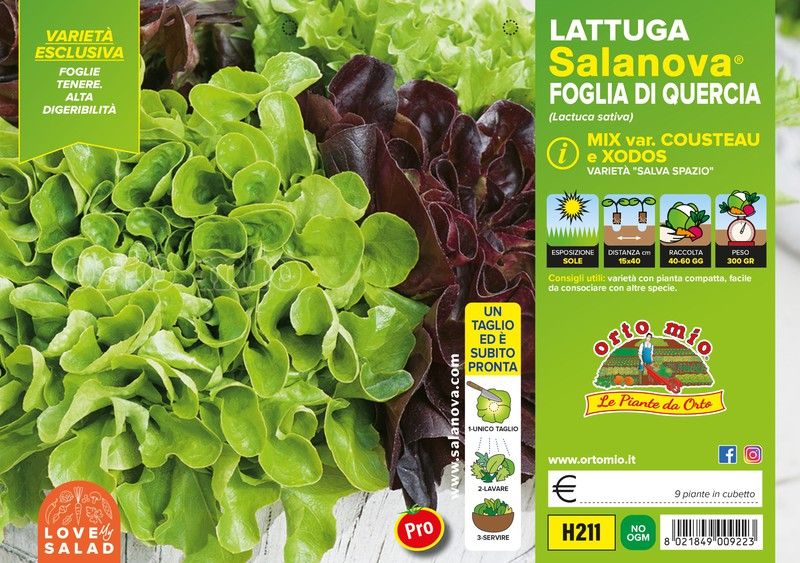 Lechuga Salanova Mix Hojas Roble Cousteau / Xodos 9 Plantas en Pack ...