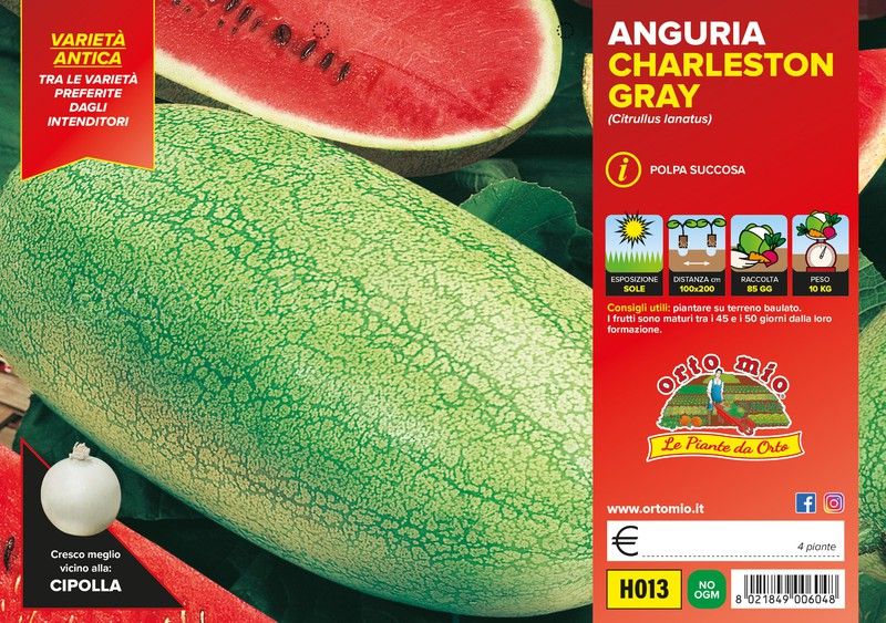 Sandía Larga Charleston Gray 4 Plantas en Pack — GUAL | Garden Online