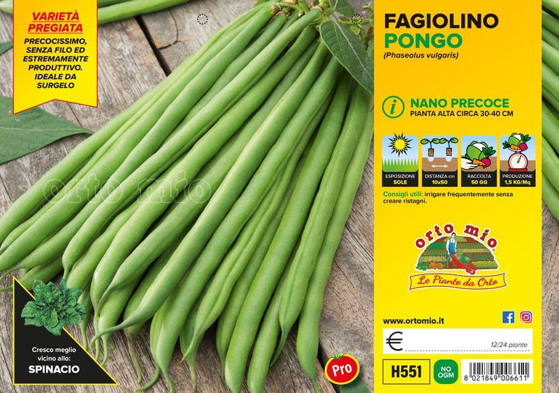 Plantio Judia Enana Pongo 12 Plantas En Pack — GUAL | Garden Online